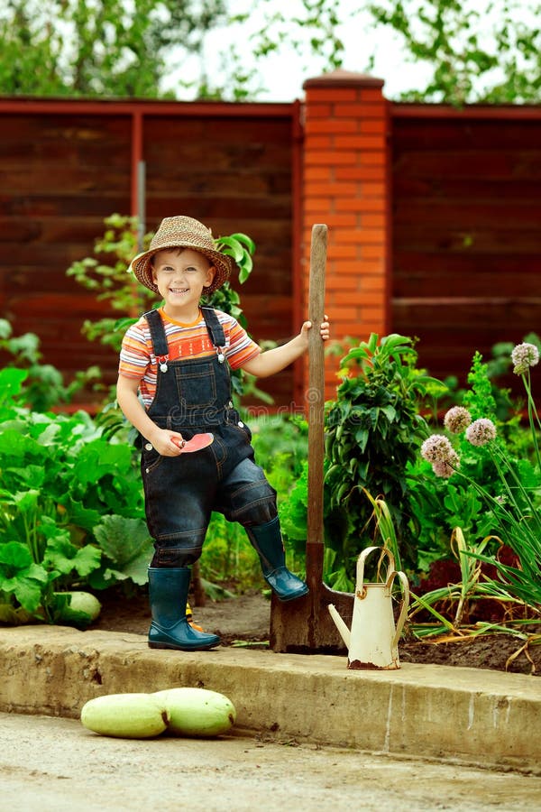 Boy working in the garden stock image. Image of activity - 44148103