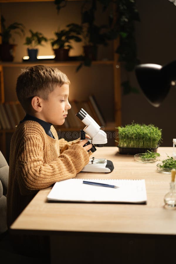 Child and Science Concept. School Boy Looking into Microscope at His ...
