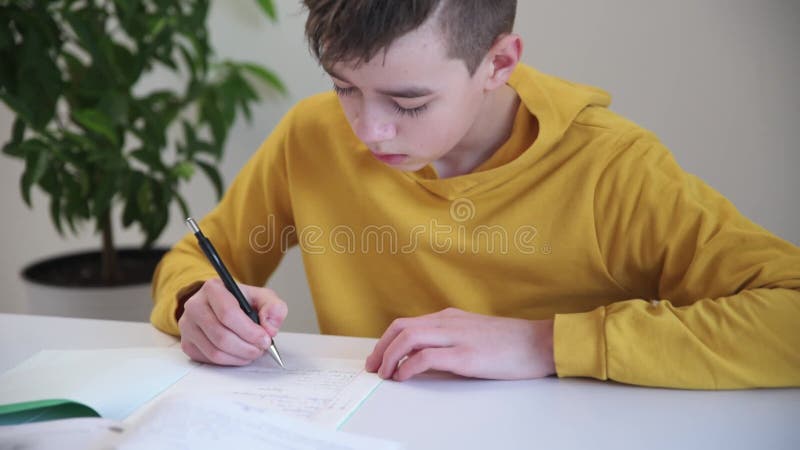 Boy Writing Homework. Schoolboy Making Notes in Notebook at Home Stock ...