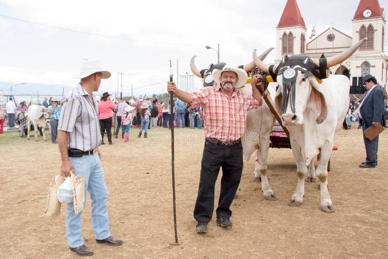 Boyero редакционное стоковое изображение. изображение насчитывающей ...
