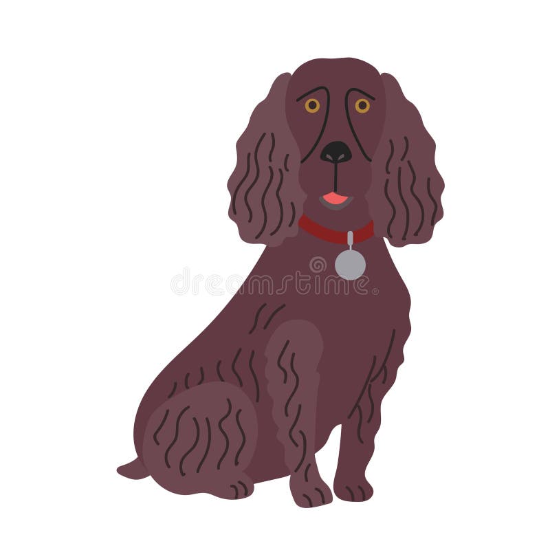 Boykin Spaniel Icon Clipart Logotype Isolated Illustration Stock Vector ...
