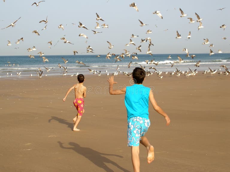 Boys chasing birds stock image. Image of children, flying - 825881