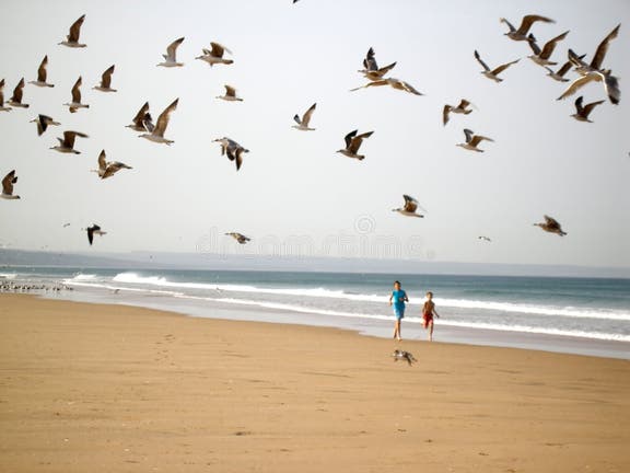 Boys chasing birds stock photo. Image of birds, sunny, enjoy - 825884