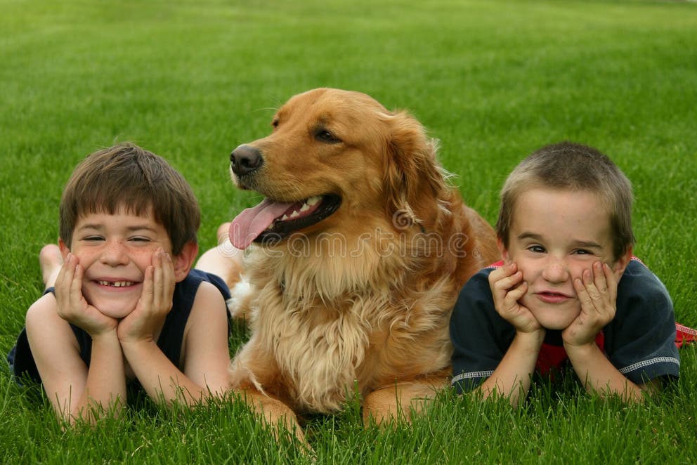 Boys and Dog stock image. Image of buddies, cheerful, childhood - 1211361