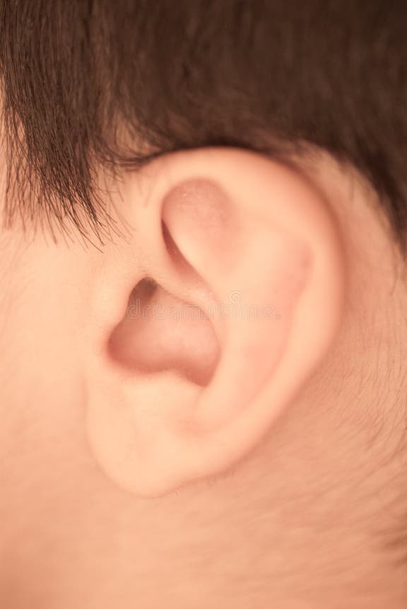 Boys Ear stock photo. Image of close, closeup, child - 11901376