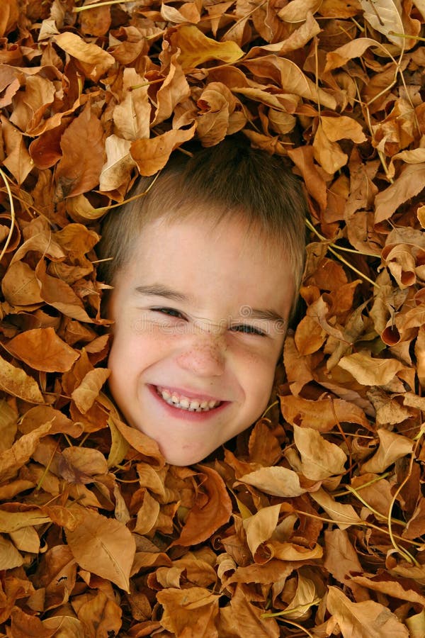 Boys Face stock image. Image of children, fallen, domestic - 1396775