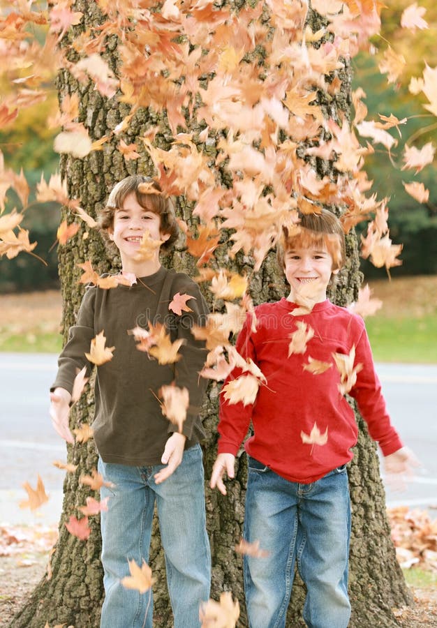 Boys in the Fall Leaves stock photo. Image of children - 11577626