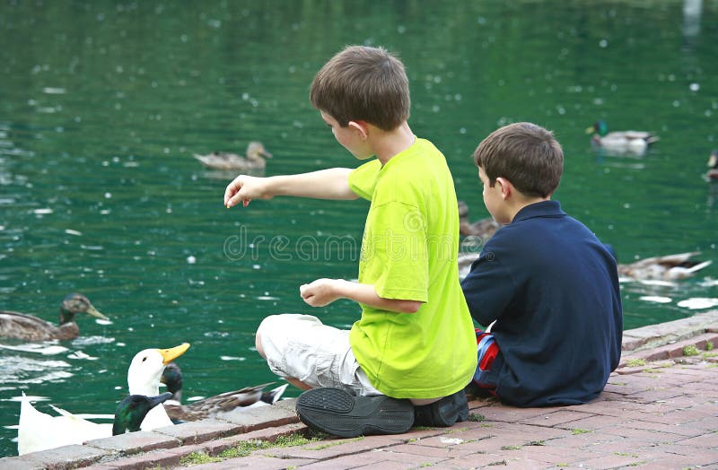 Boys Feeding the Ducks stock image. Image of emotion, boys - 2982657