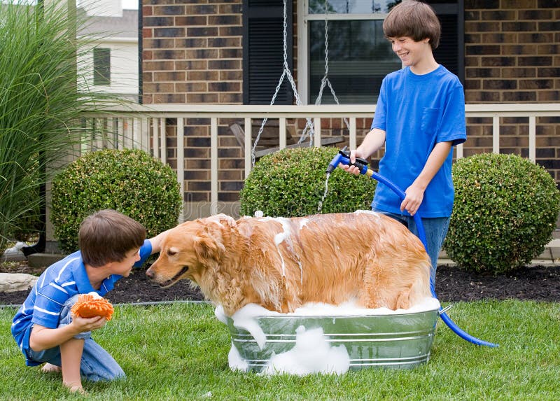 Boys Giving Dog a Bath stock image. Image of childhood - 33946417