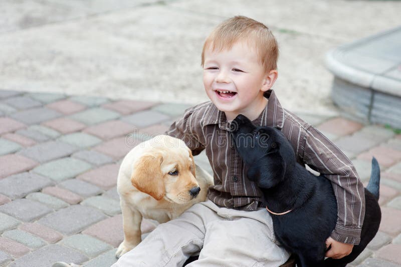 Boys Playing Two Dogs Labrador Black White Stock Photos - Free ...