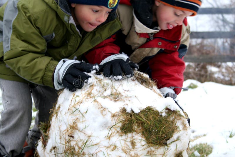 Boys rolling a Snowball stock image. Image of winter, activity - 7354489
