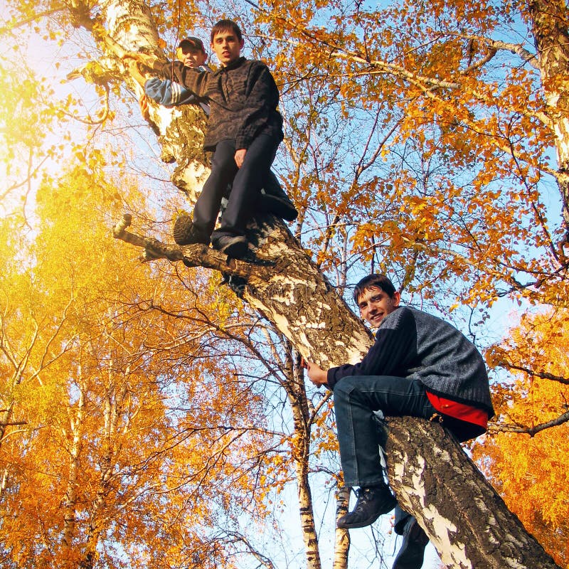 Teenager Climbing Tree
