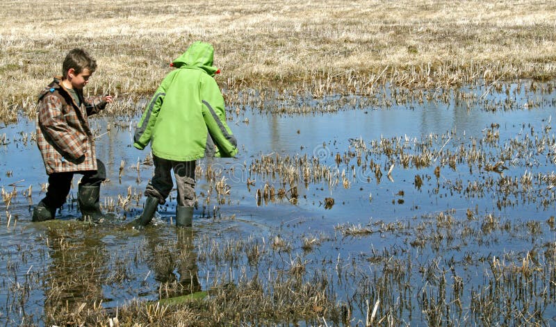 Boys Walking Thru the Swamp Stock Photo - Image of boys, swamp: 9186650
