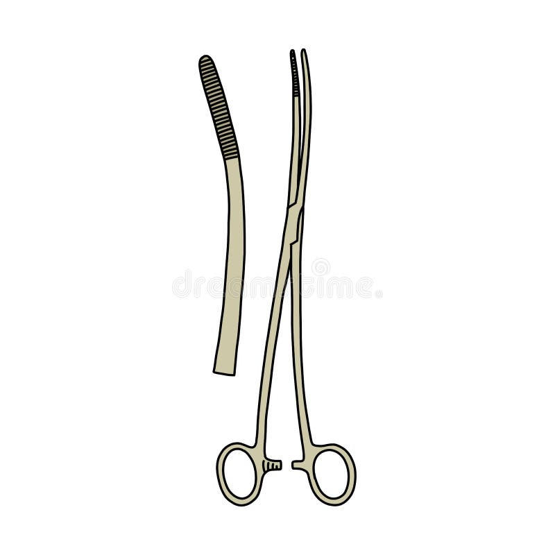 Bozeman Douglas Forceps Doodle Icon, Vector Color Line Illustration ...