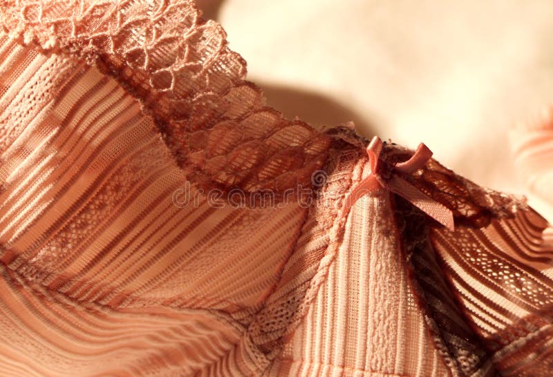 Bra stock photo. Image of lingerie, ladies, brasier, female - 3257544