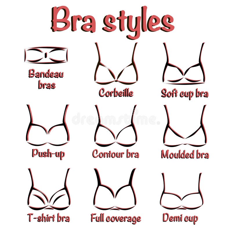 Bra styles stock vector. Illustration of series, femininity - 45607503