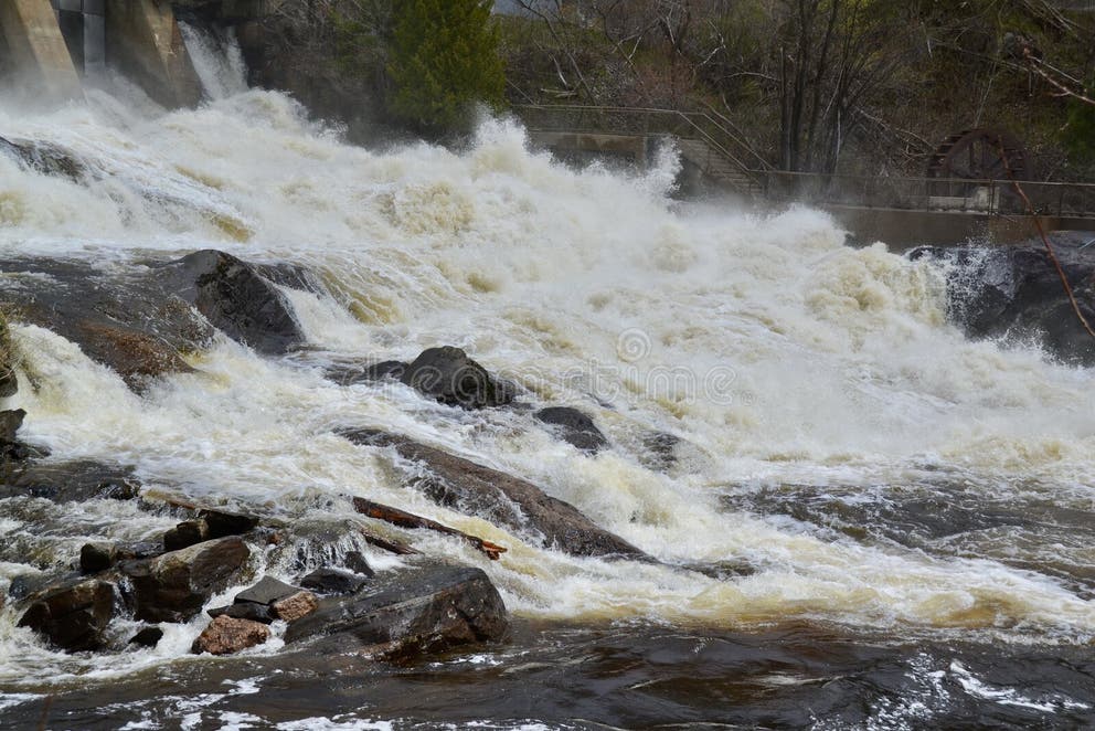 Bracebridge Falls with High Water Flow Stock Photo - Image of forest ...