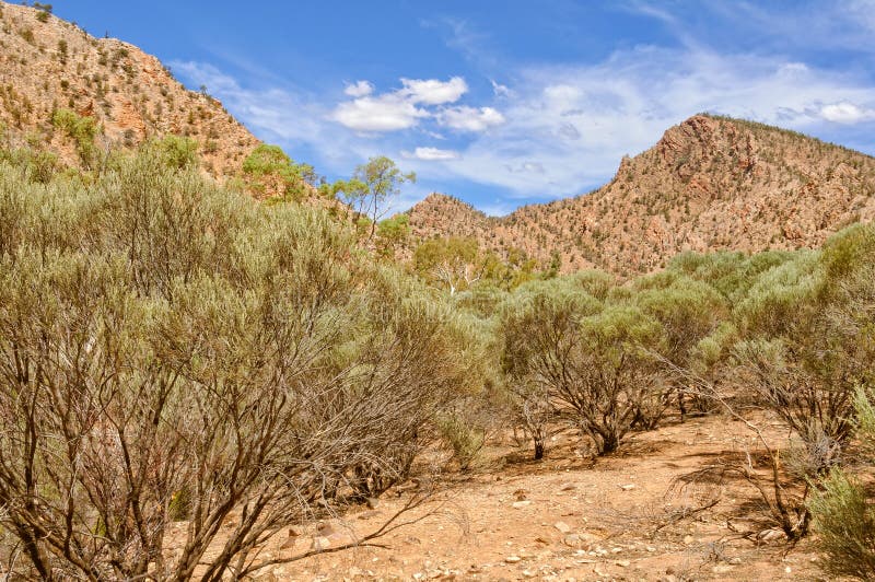 Brachina Gorge - Wilpena Pound Stock Image - Image of blue, south: 98669469