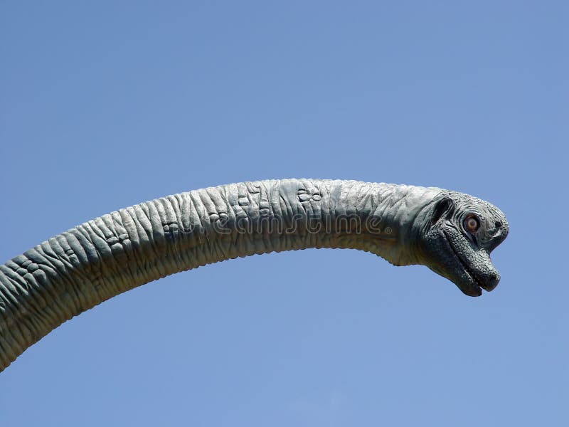 Brachiosaurus stock image. Image of dangerous, history - 19878803