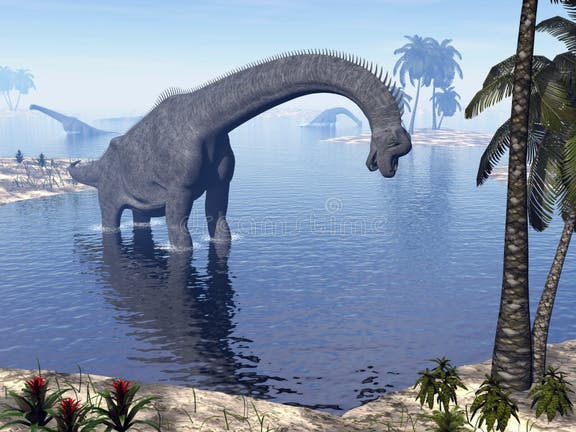 Brachiosaurus Dinosaur in Water - 3D Render Stock Illustration ...