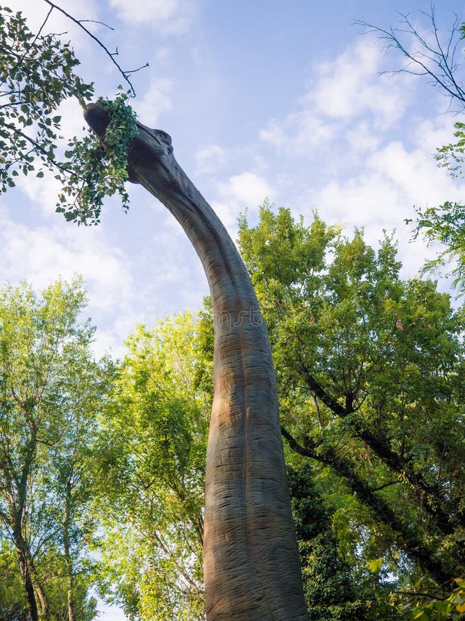Brachiosaurus Feeds on the Leaves of the Forest Trees Stock Image ...