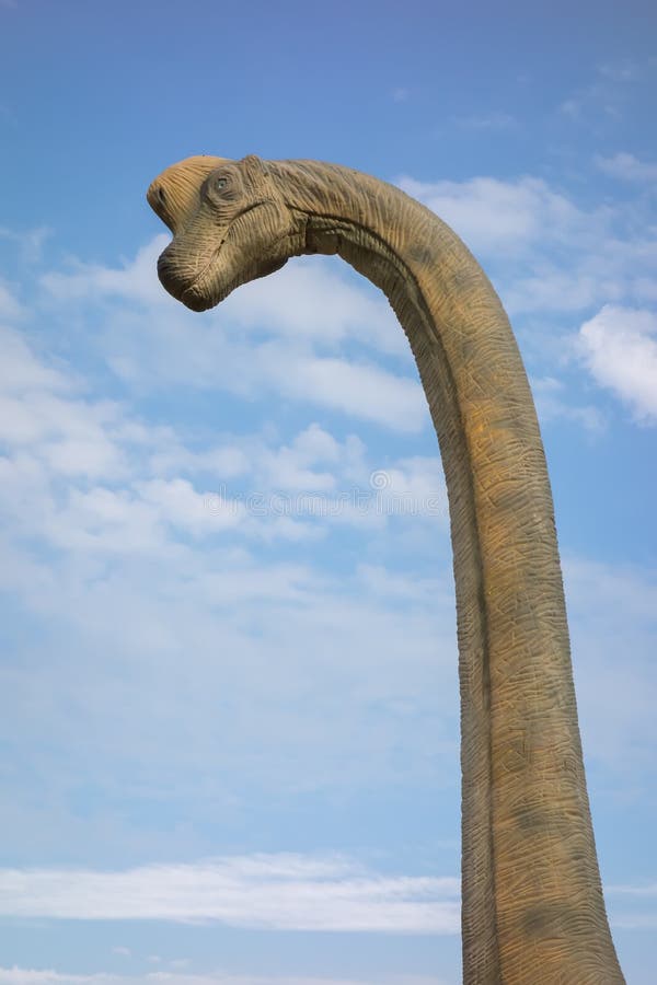 523 Brachiosaurus Photos - Free & Royalty-Free Stock Photos from Dreamstime