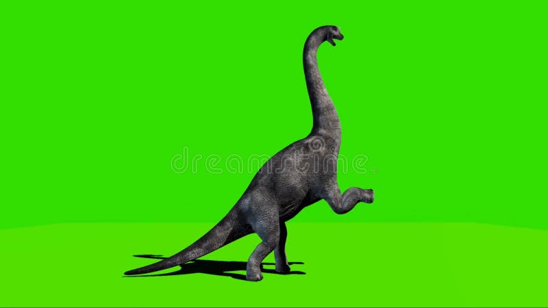 Brachiosaurus Roaring on Green Screen Stock Video - Video of predator ...