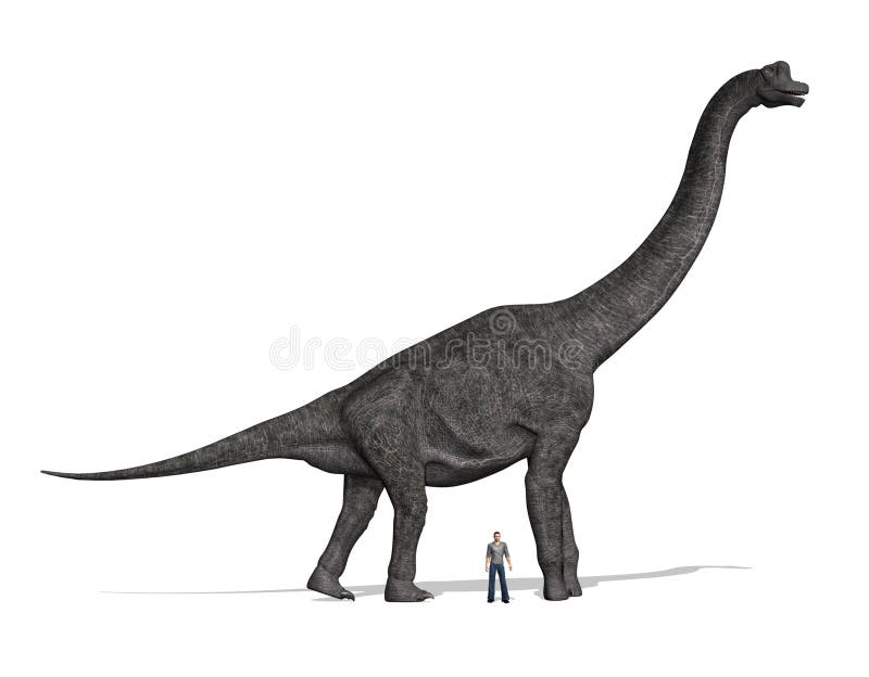 Brachiosaurus Size Compared To Man Stock Illustration - Illustration of ...