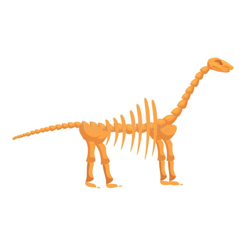 Brachiosaurus Skeleton Standing on Ground Dinosaur Paleontology Stock ...