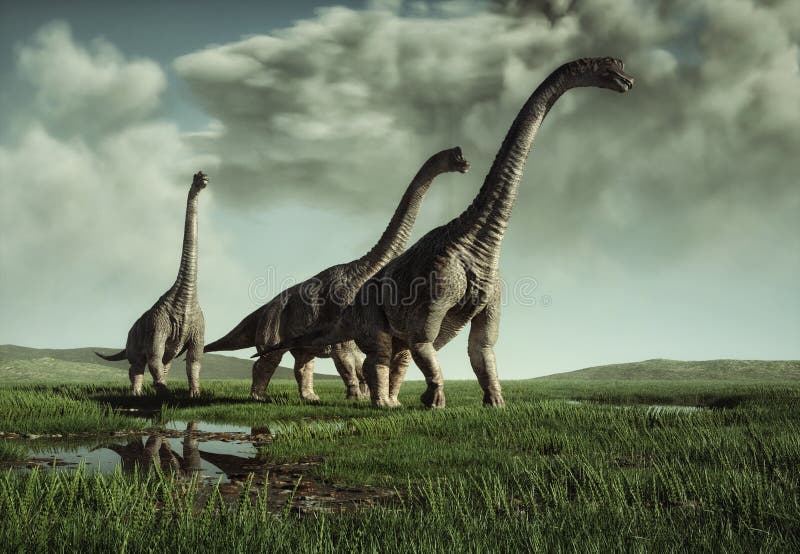 Brachiosaurus Species in the Nature Stock Illustration - Illustration ...