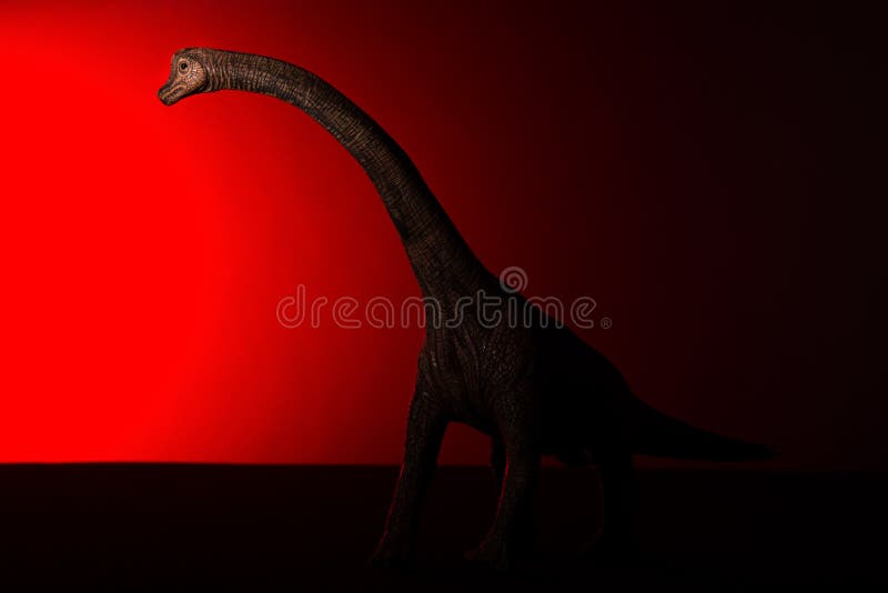131 Brachiosaurus Head Stock Photos - Free & Royalty-Free Stock Photos ...