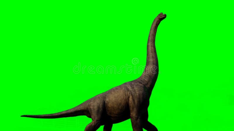 Brachiosaurus Walking on Green Screen Background.Jurassic World ...
