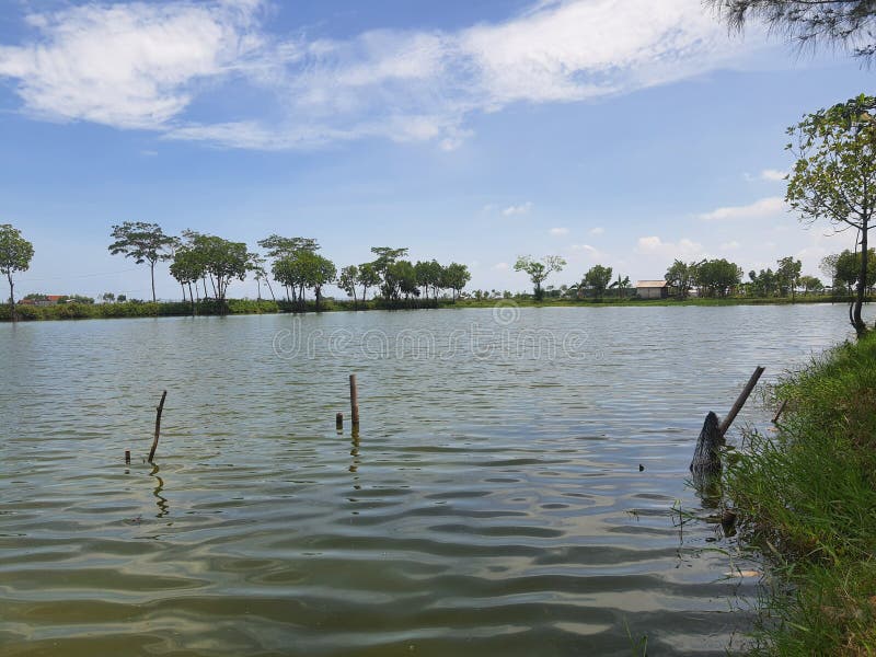 Brackish Water Lake on the Coast of Central Java Stock Image - Image of ...
