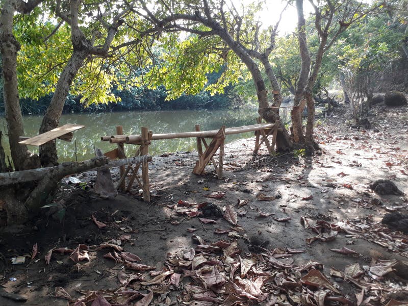 Brackish Water Rivers Where River Water Flows into the Sea Stock Photo ...