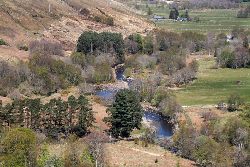 Braemore Wood Area Scotland Stock Photos - Free & Royalty-Free Stock ...