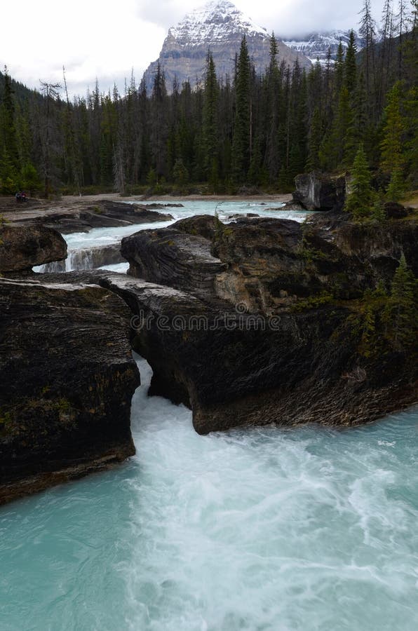 Bragg creek falls 5 stock image. Image of national, park - 141659787