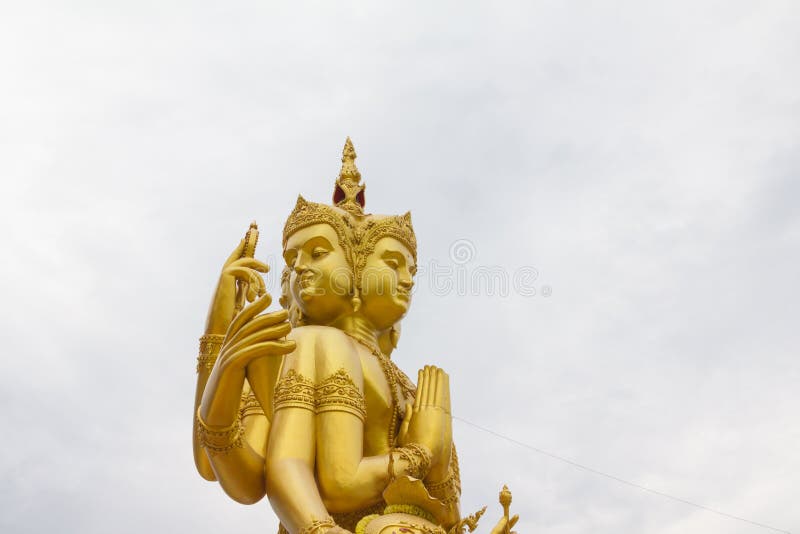 416 Brahma Face Stock Photos - Free & Royalty-Free Stock Photos from ...