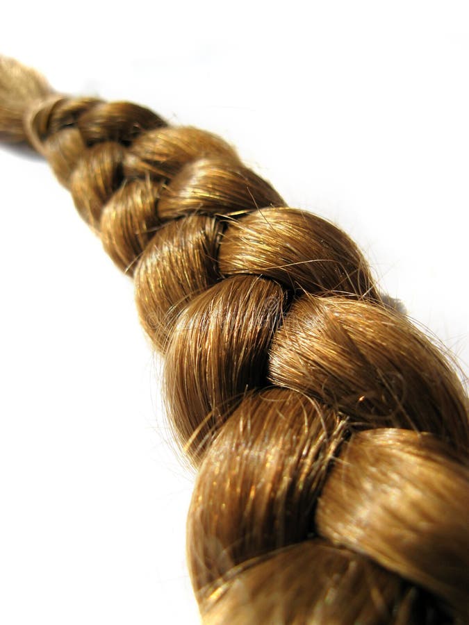 Braid stock image. Image of bind, closeup, isolated, hairs - 6609147