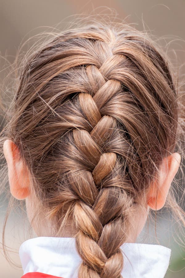 Close-up Portrait of a Woman& X27;s Back, Braid, Beautiful Hair, Golden ...