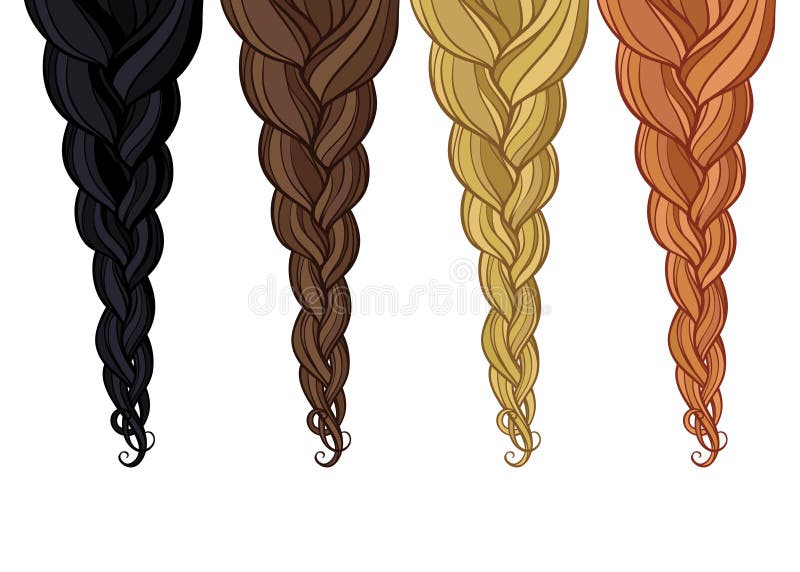 Braid of hair stock vector. Illustration of curled, redhead - 53502783
