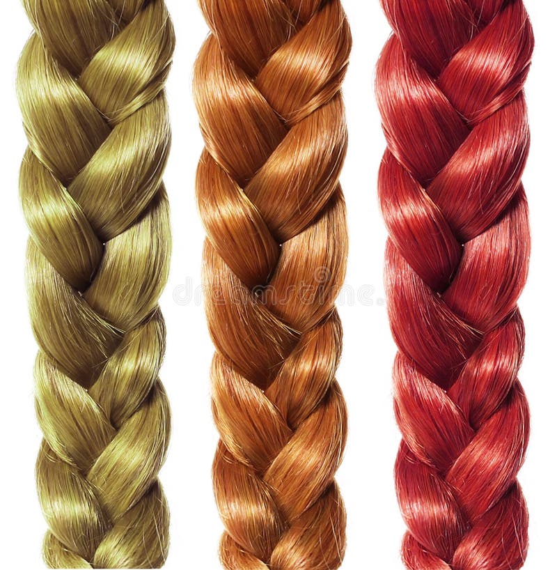 Fashion Braid Hair, Three Colored Plaits Isolated on White Stock Image ...