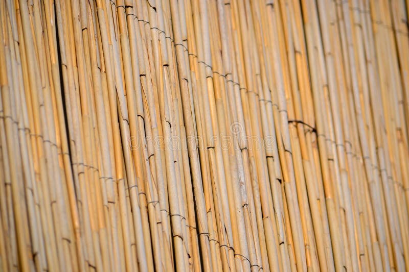 Braided reed stock photo. Image of line, flooring, wood - 332249138