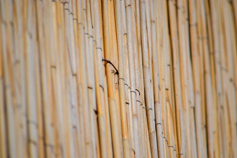 Braided reed stock image. Image of branch, leaf, brown - 332249237