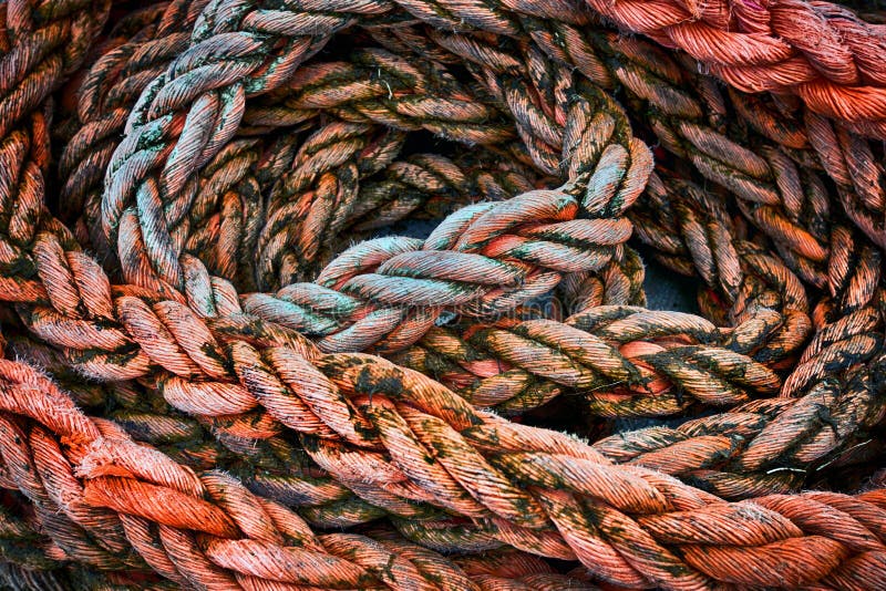 Braided sea rope stock photo. Image of twisted, weaving - 109575516