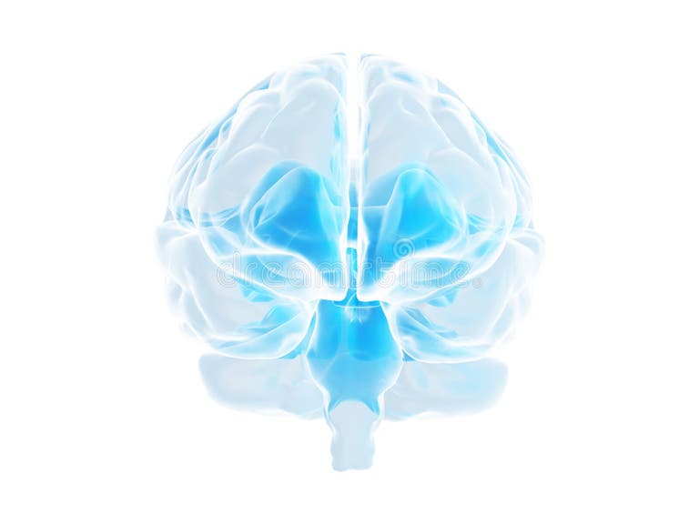 Human Blue Brain Stock Illustrations – 55,099 Human Blue Brain Stock ...