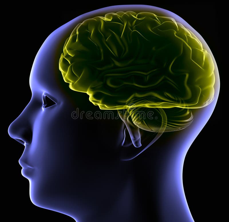 Open Mind stock illustration. Illustration of head, brainstorm - 2609092
