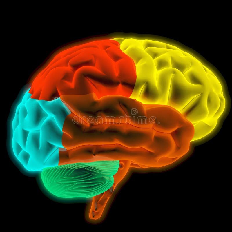 Circuit board brain stock illustration. Illustration of data - 42522622