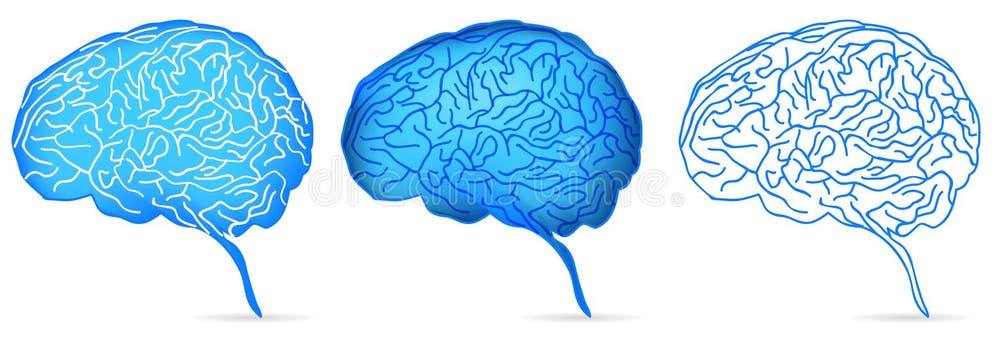 White Matter Brain Stock Illustrations – 1,152 White Matter Brain Stock ...