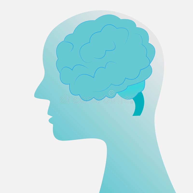 Human Side Profile Silhouette with Brain Stock Vector - Illustration of ...