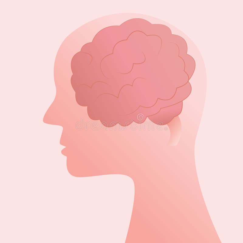 Human Side Profile Silhouette with Brain Stock Vector - Illustration of ...